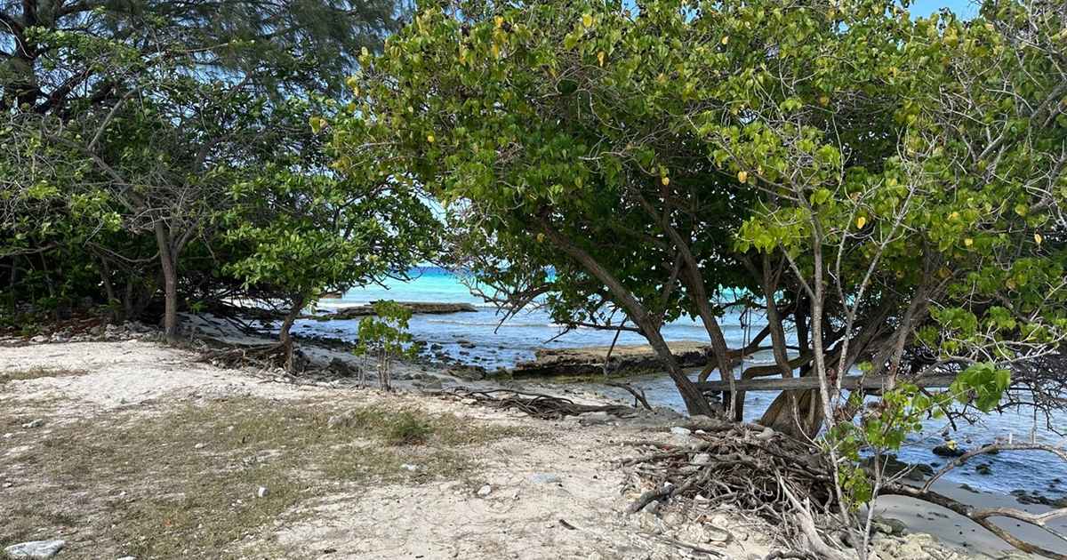 Climate Justice through the Courts - ACIL - University of Amsterdam